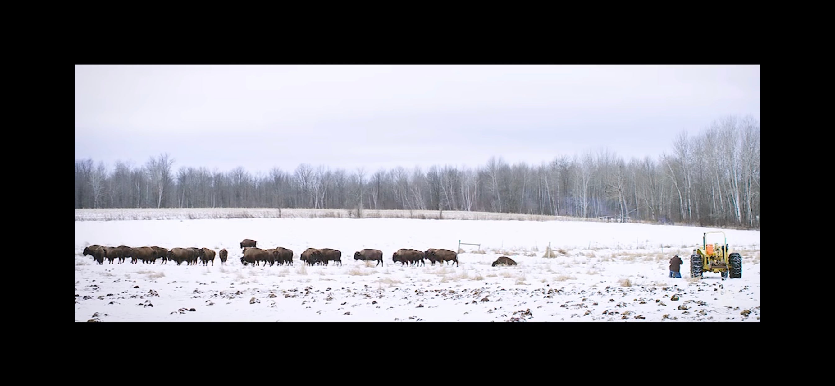 Farm Country Butchery