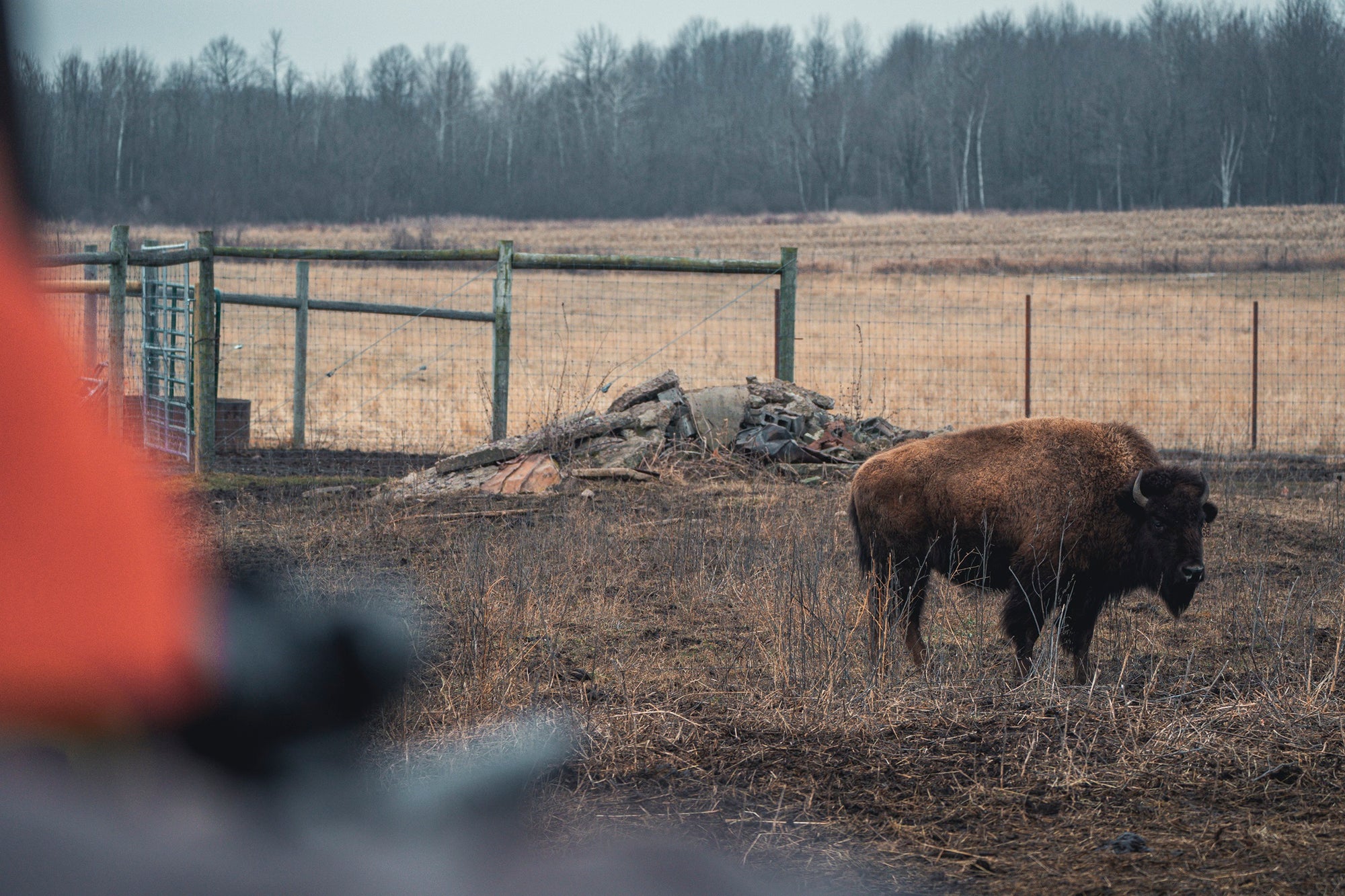 Farm Country Butchery