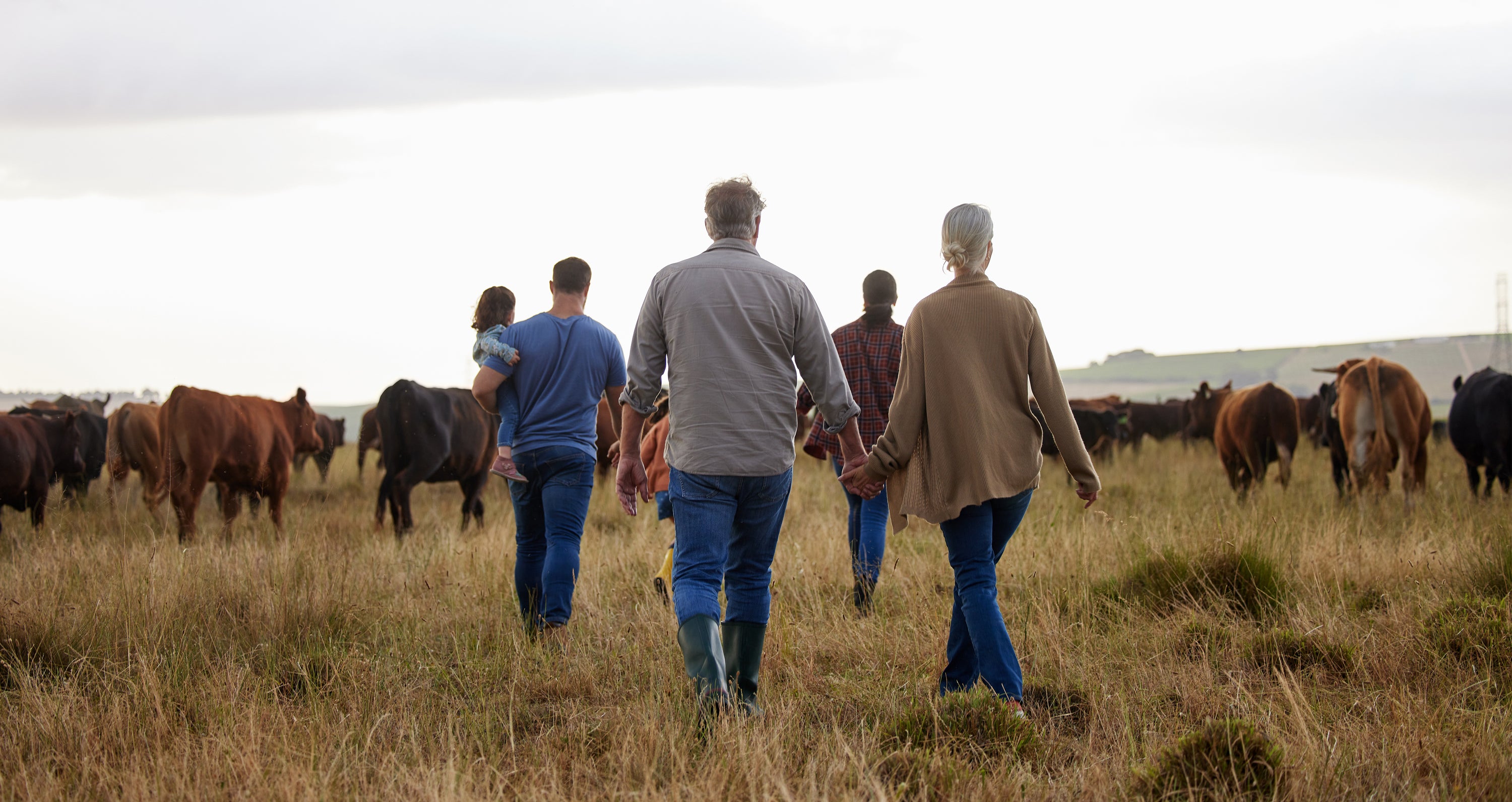 Farm Country Butchery